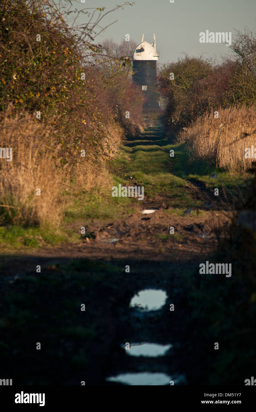 Upton marsh norfolk hi-res stock photography and images - Alamy
