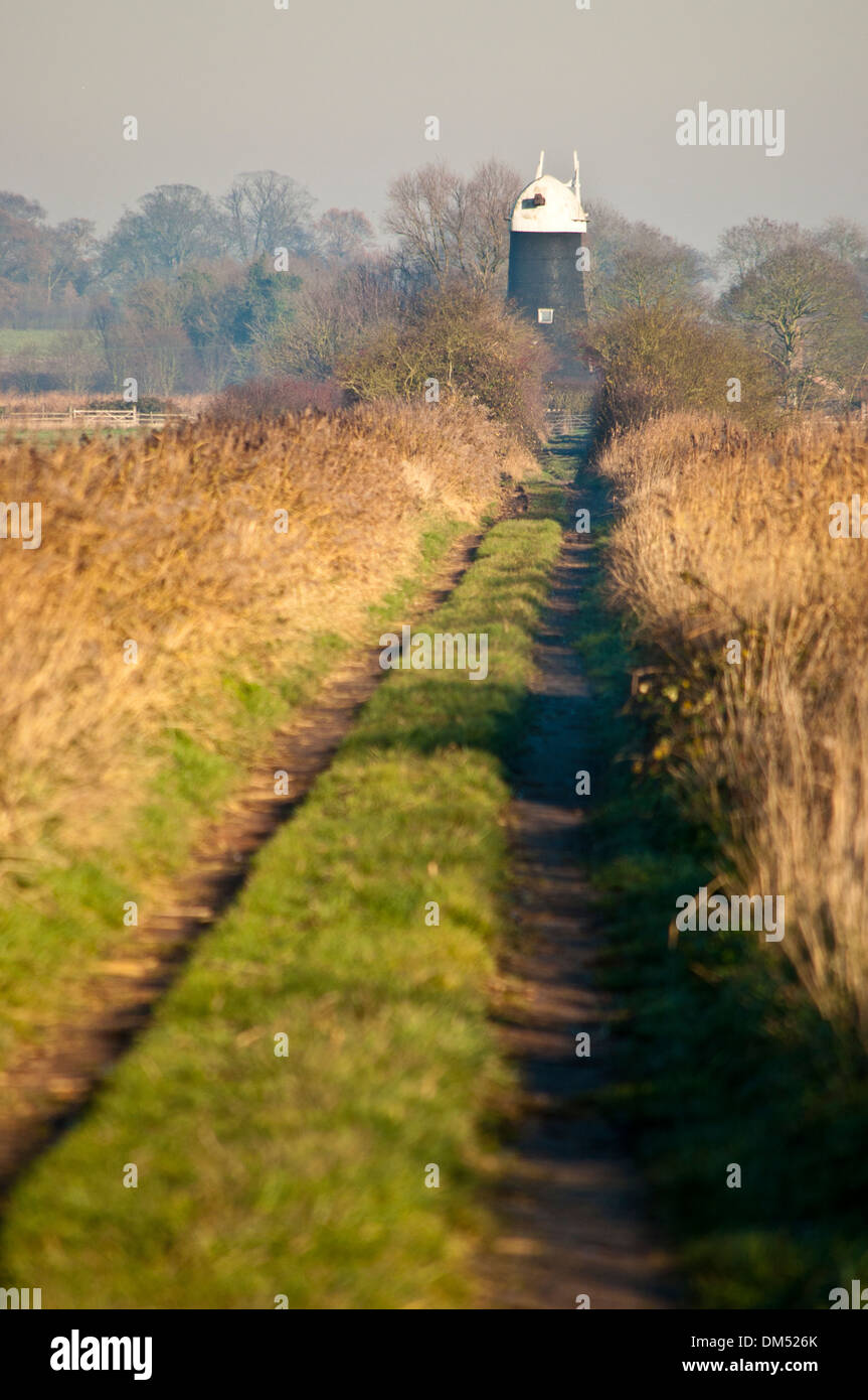 Farm track footpath Upton marsh Norfolk Broads Stock Photo - Alamy