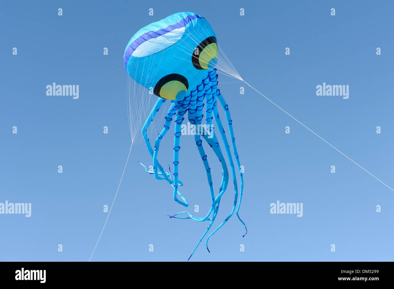 Kites, Estonia, Europe, Baltic States, Estonia, Oktopus, concept, Pärnu ...