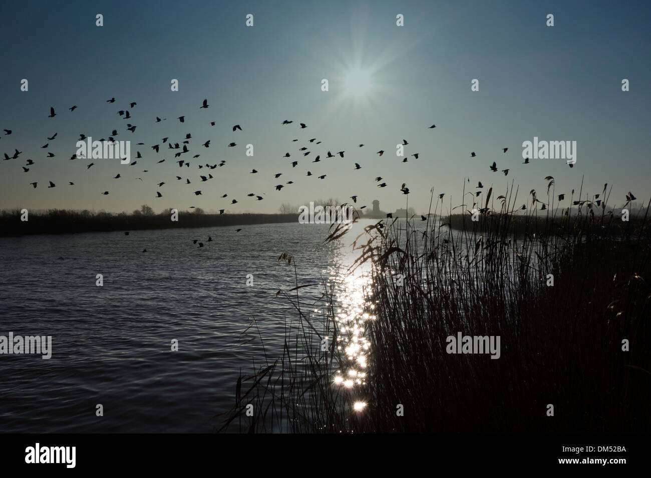 Rooks river hi-res stock photography and images - Alamy