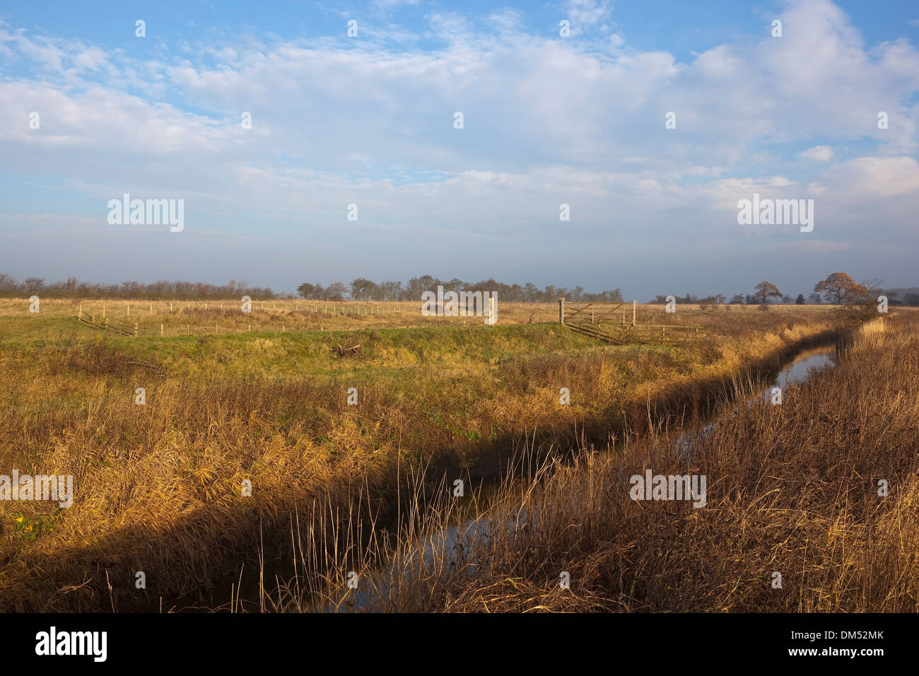 An early winter landscape with colorful dry grasses and meadows on the ...