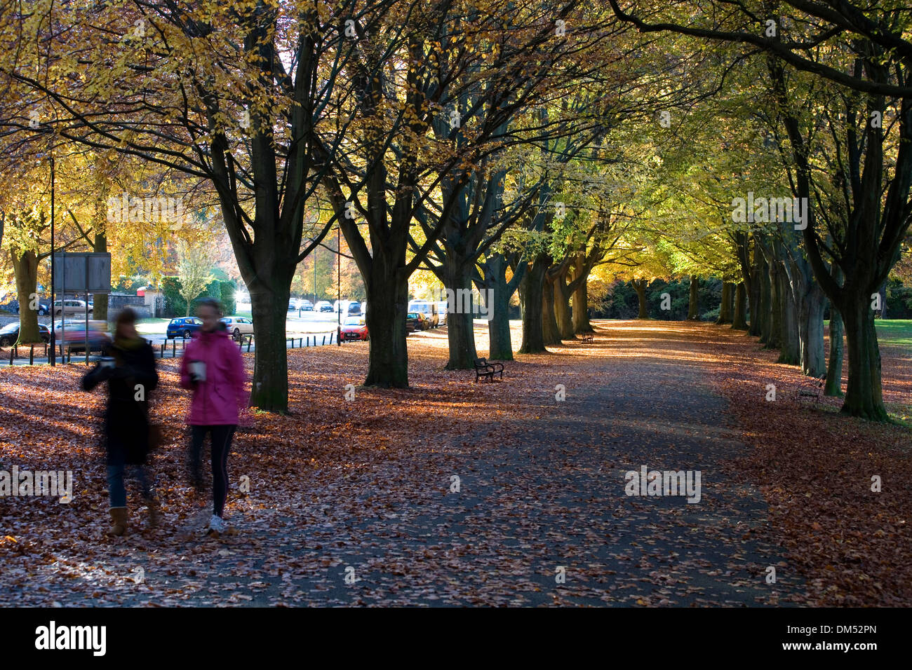 Ambling walk hi-res stock photography and images - Alamy