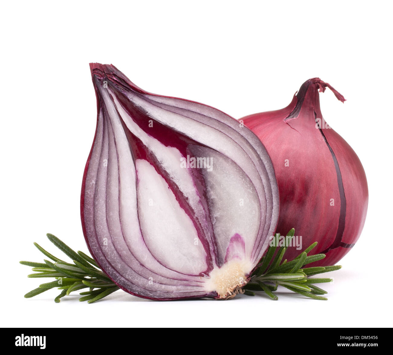 red onion and rosemary leaves still life isolated on white background ...