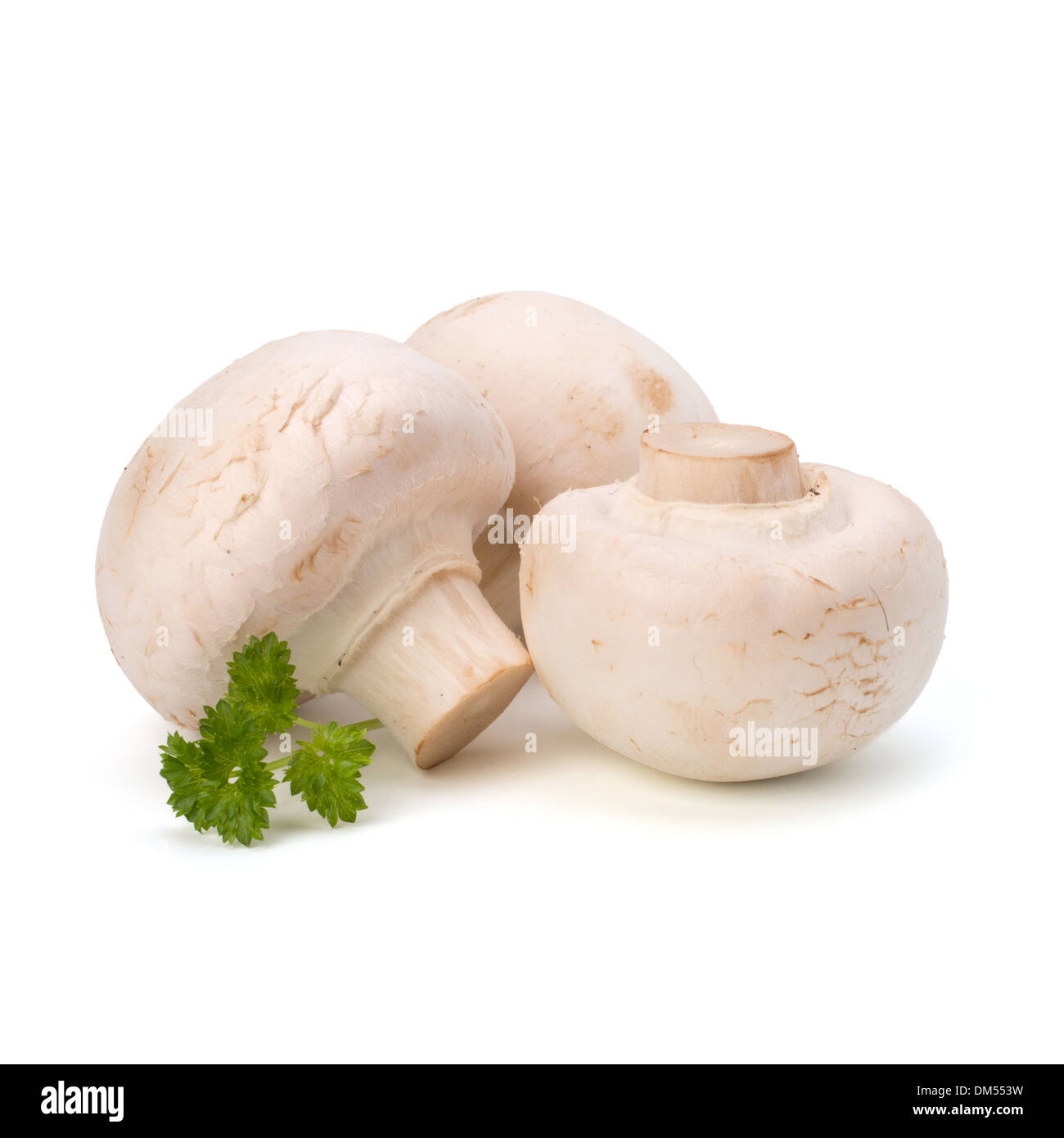 Champignon mushroom isolated on white background Stock Photo - Alamy
