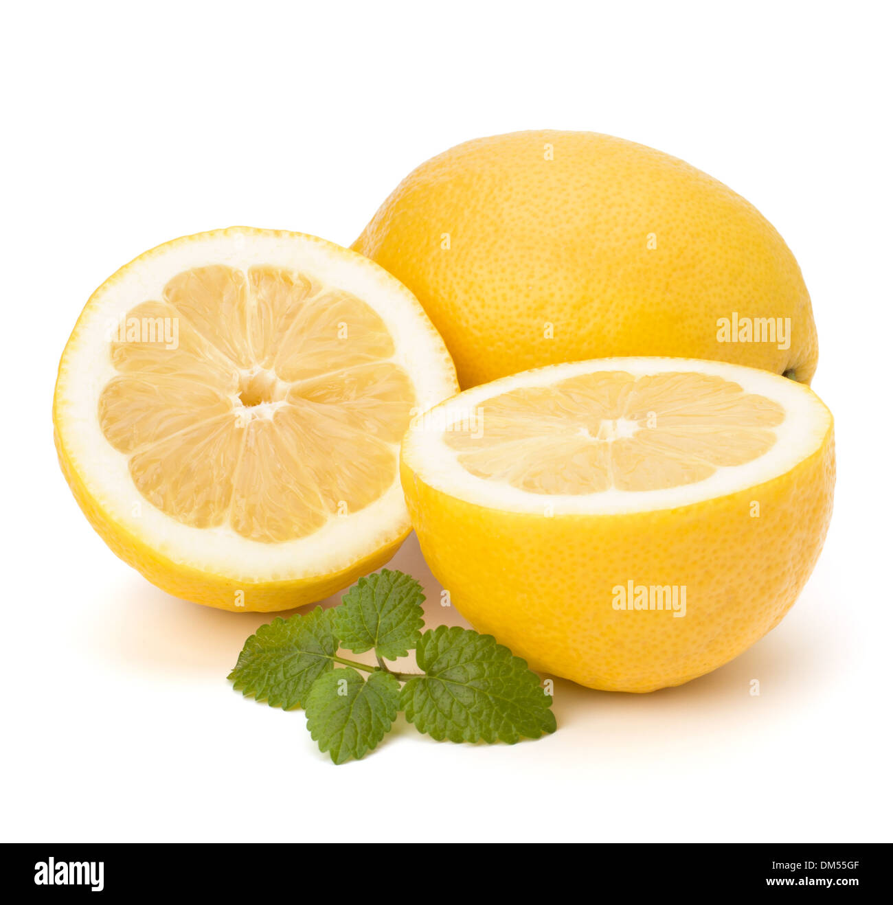 Lemon and citron mint leaf isolated on white background Stock Photo - Alamy