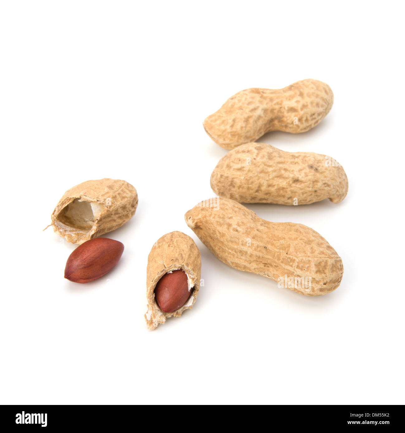 Peanut isolated on white background Stock Photo - Alamy
