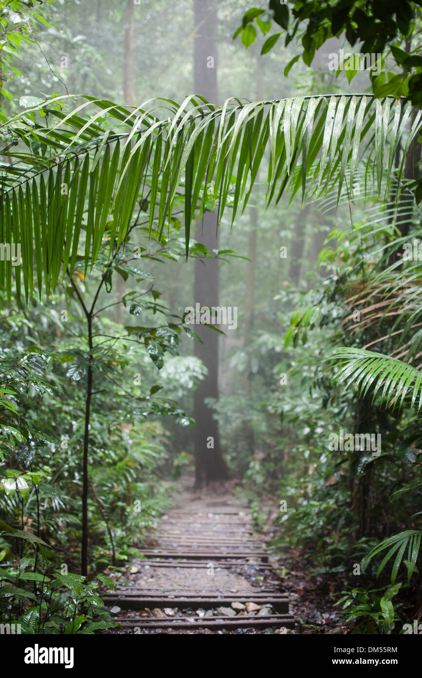 Pathway through nature reserve hi-res stock photography and images - Alamy