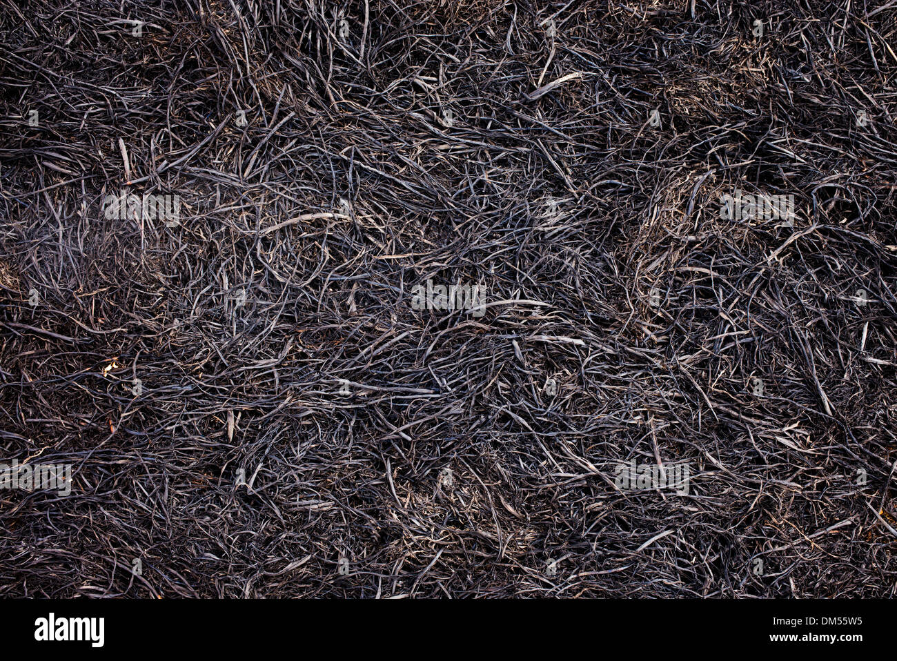 Burnt rice straw texture Stock Photo - Alamy