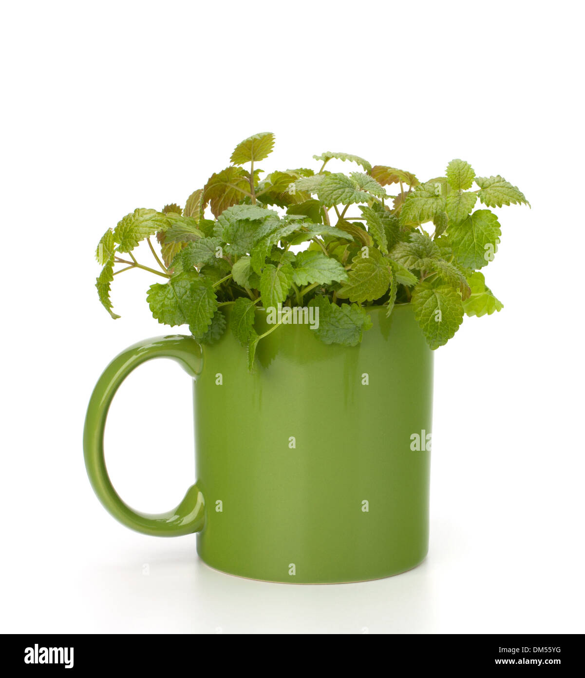 Herbal peppermint tea cup isolated on white background. Alternative ...