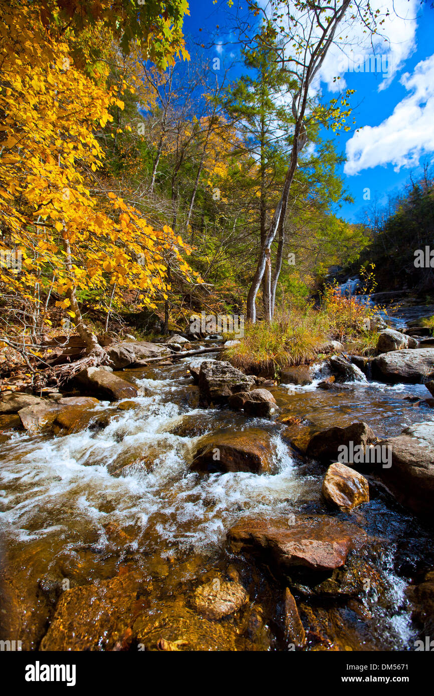 Beautiful Fall stream with orange, yellow and green trees Stock Photo ...