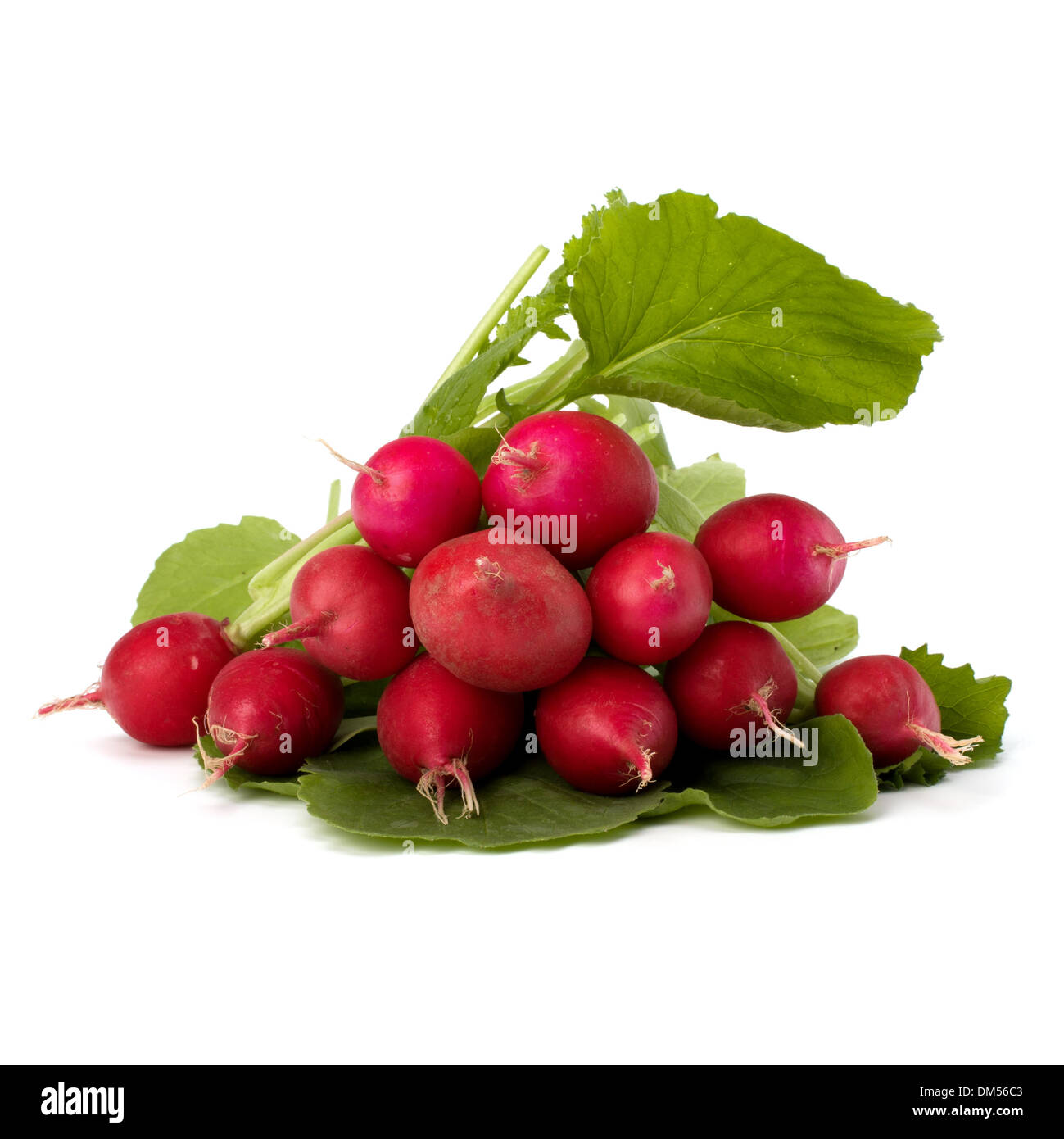 Small garden radish isolated on white background Stock Photo - Alamy