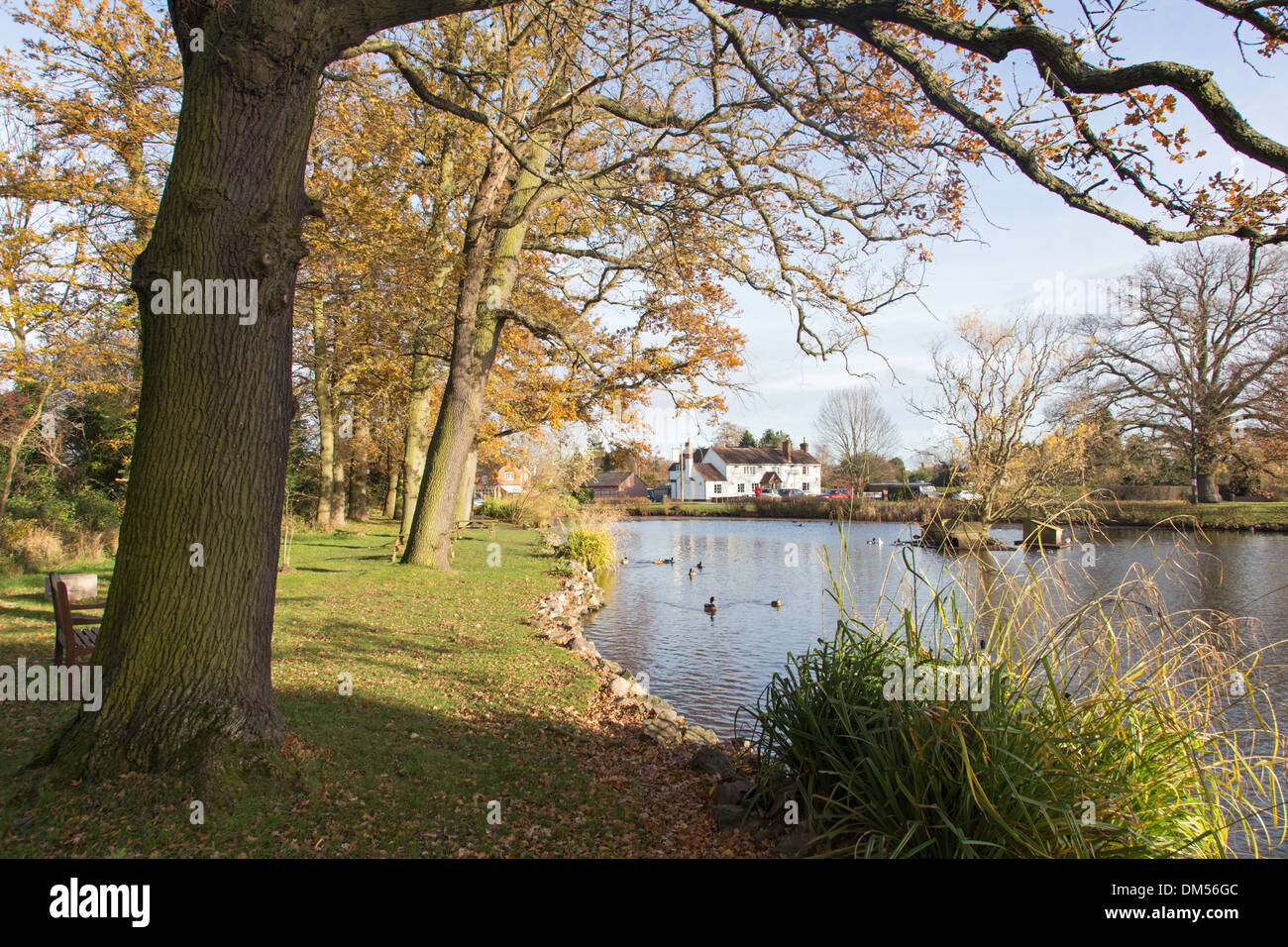 Hanley Swan High Resolution Stock Photography and Images - Alamy