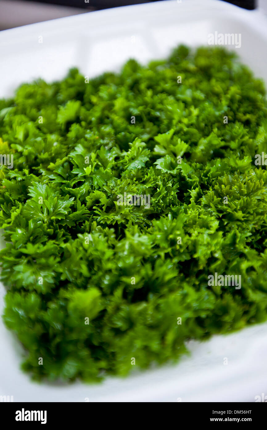 Fresh organic parsley in a white box Stock Photo - Alamy