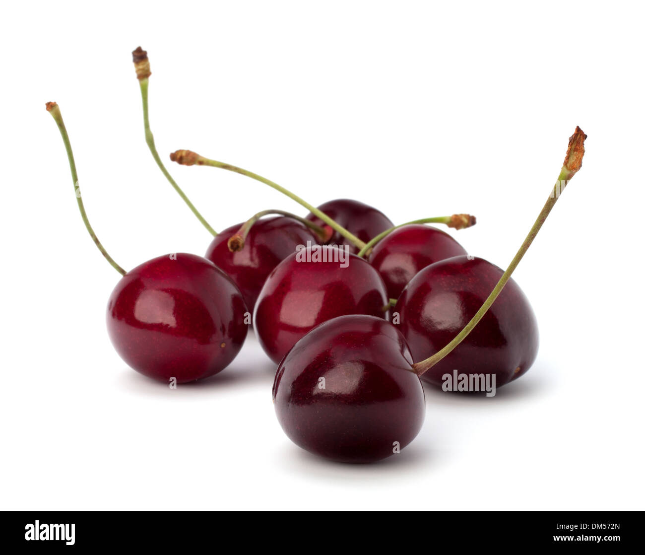 Cherry isolated on white background Stock Photo - Alamy