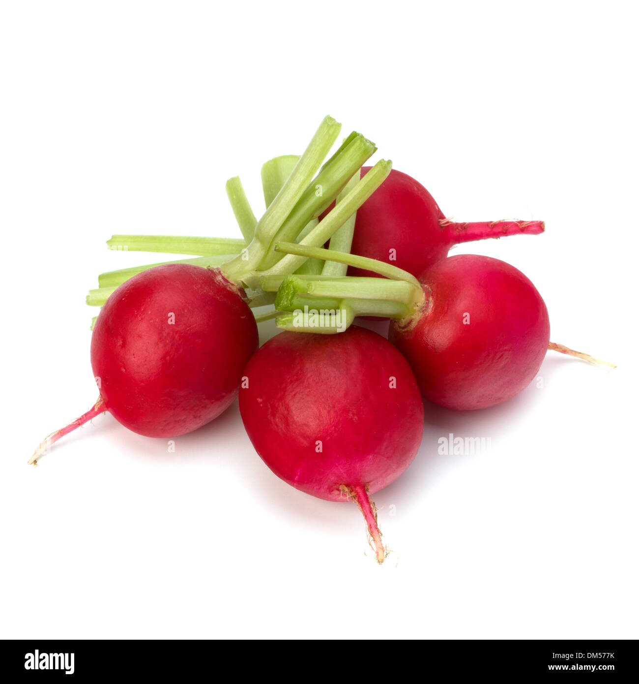 Small garden radish isolated on white background Stock Photo - Alamy