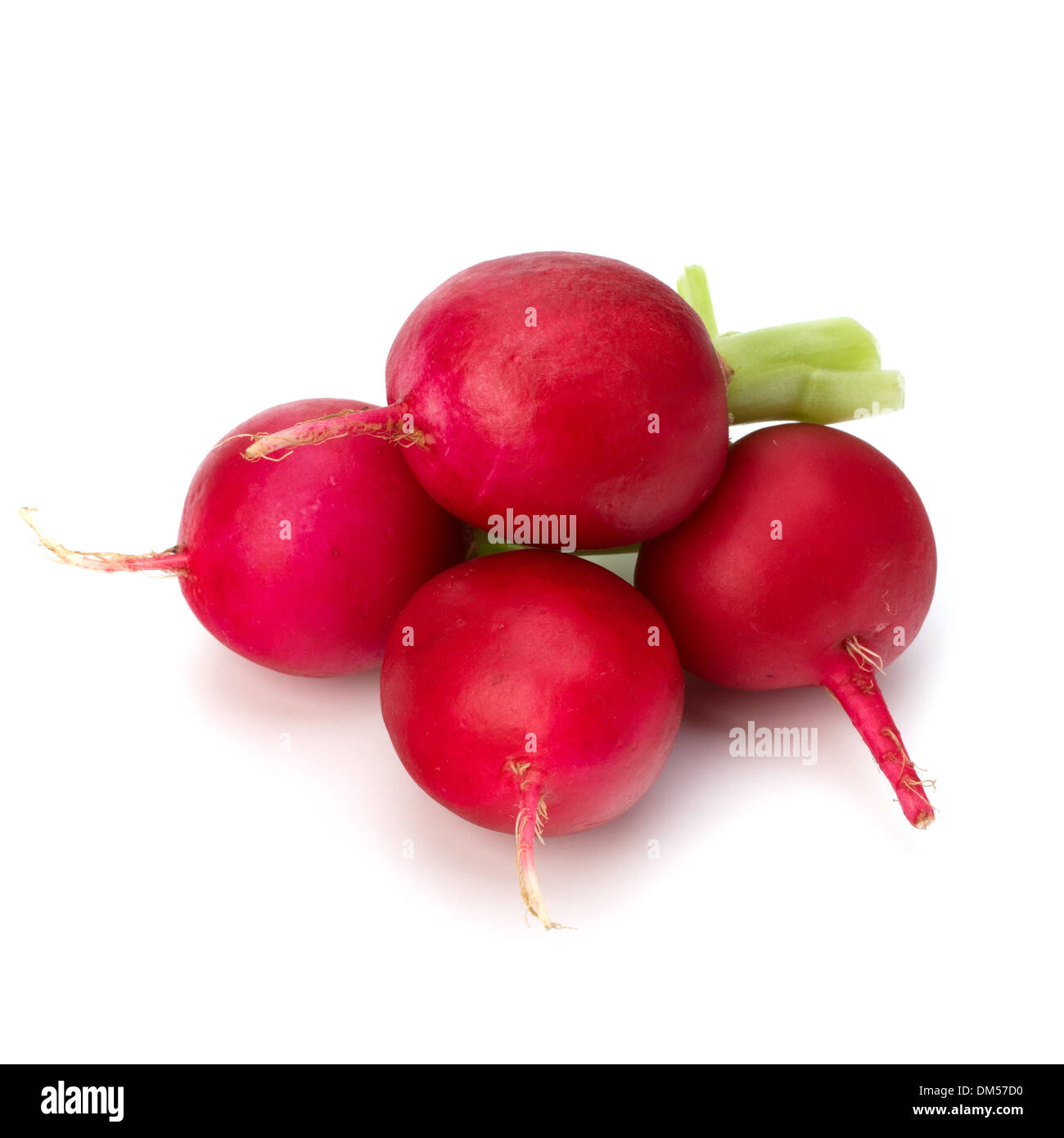 Small garden radish isolated on white background Stock Photo - Alamy