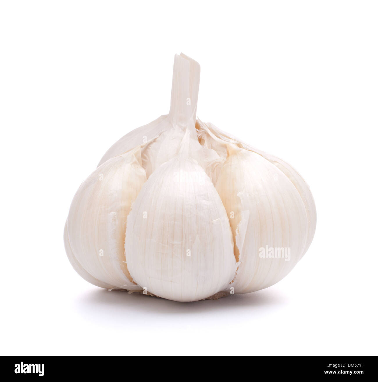 garlic bulb isolated on white background cutout Stock Photo - Alamy