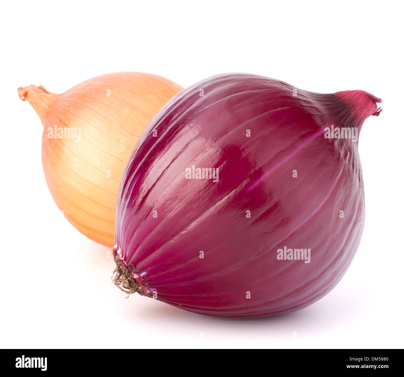 Red and gold onion bulbs isolated on white background Stock Photo - Alamy