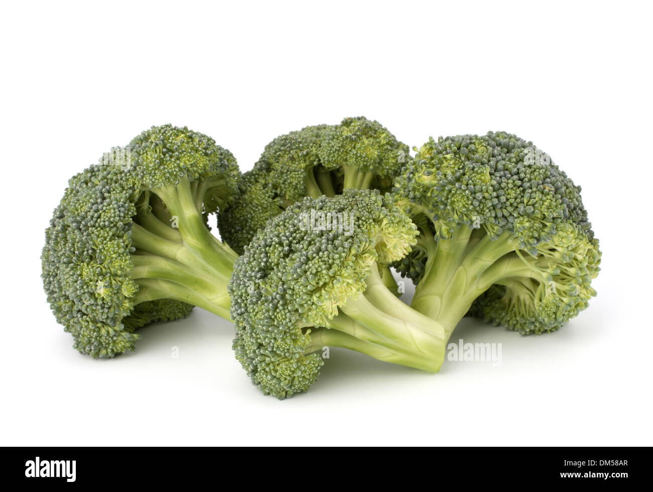 Broccoli vegetable isolated on white background Stock Photo - Alamy