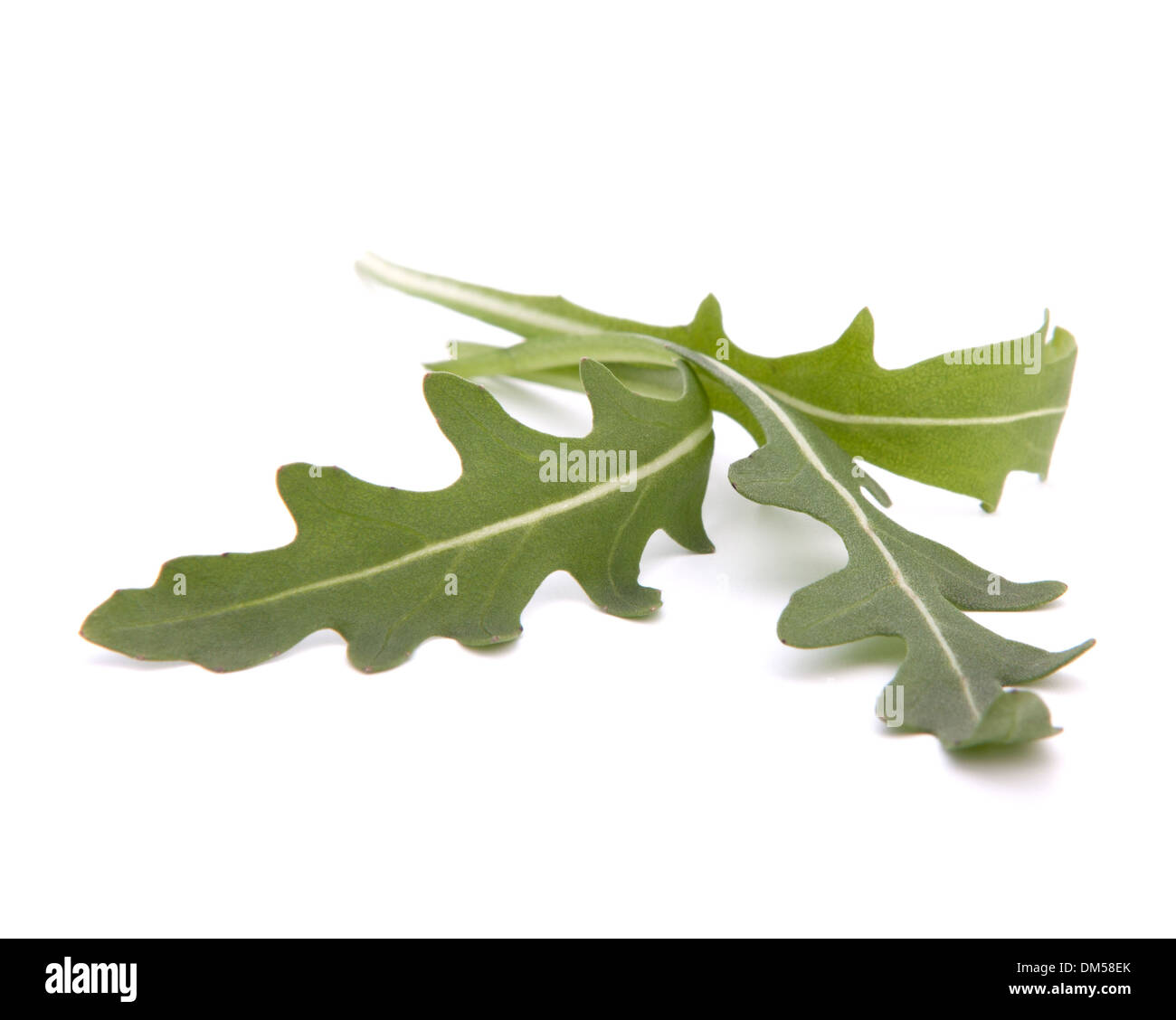 Sweet rucola salad or rocket lettuce leaves isolated on white ...