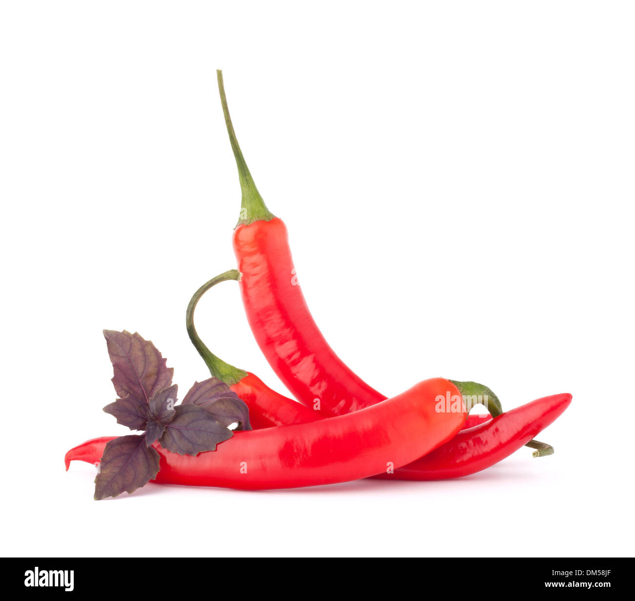 Hot red chili or chilli pepper and basil leaves still life isolated on ...