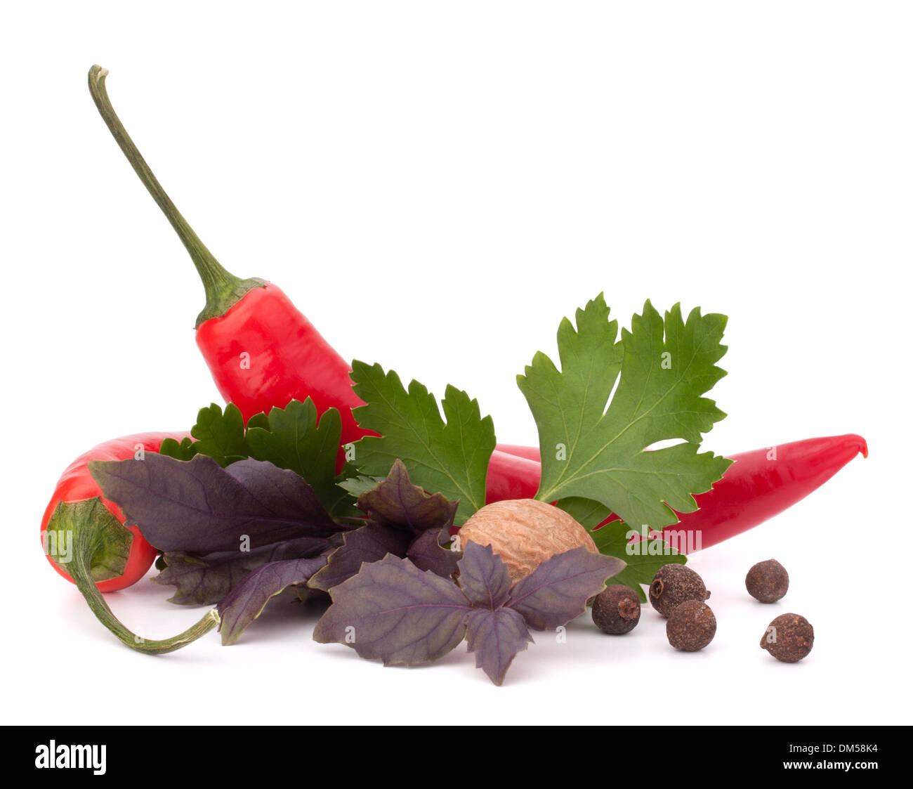 Hot red chili or chilli pepper and aromatic herbs leaves still life ...
