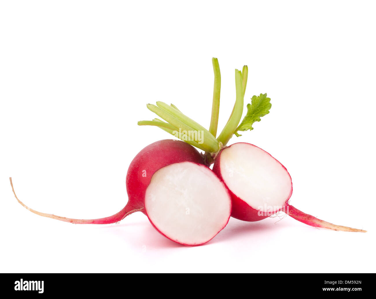 Small garden radish isolated on white background cutout Stock Photo - Alamy