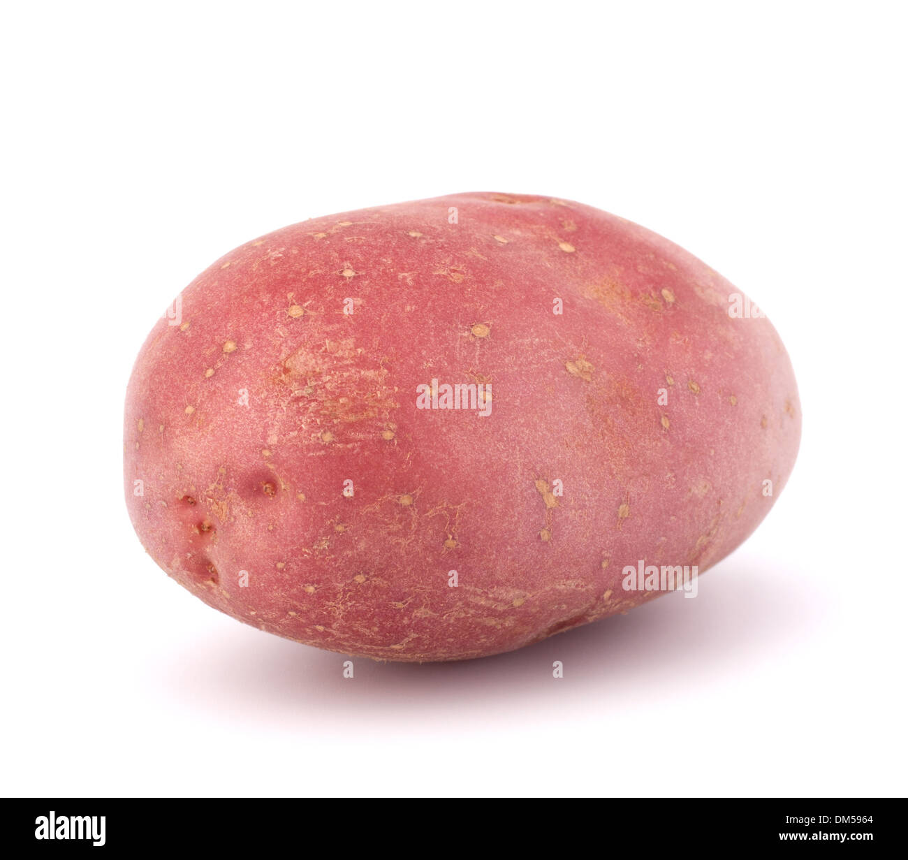 New potato tuber isolated on white background cutout Stock Photo - Alamy