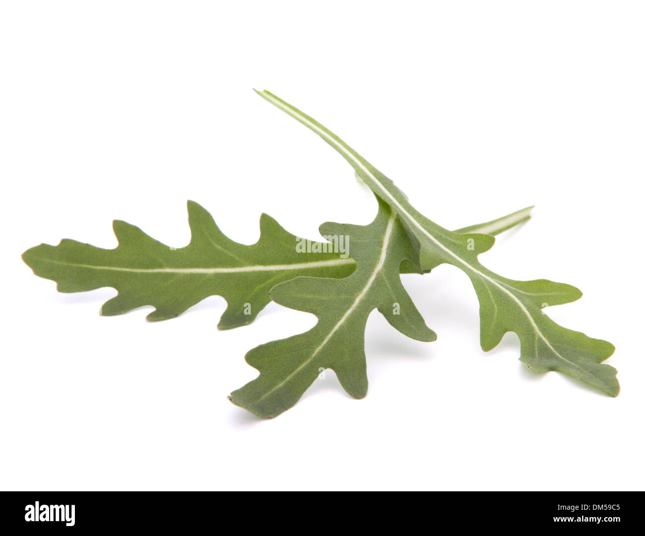 Sweet rucola salad or rocket lettuce leaves isolated on white ...