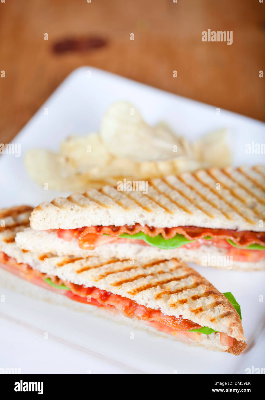 Fresh toasted panini blt sandwich with grill marks Stock Photo - Alamy