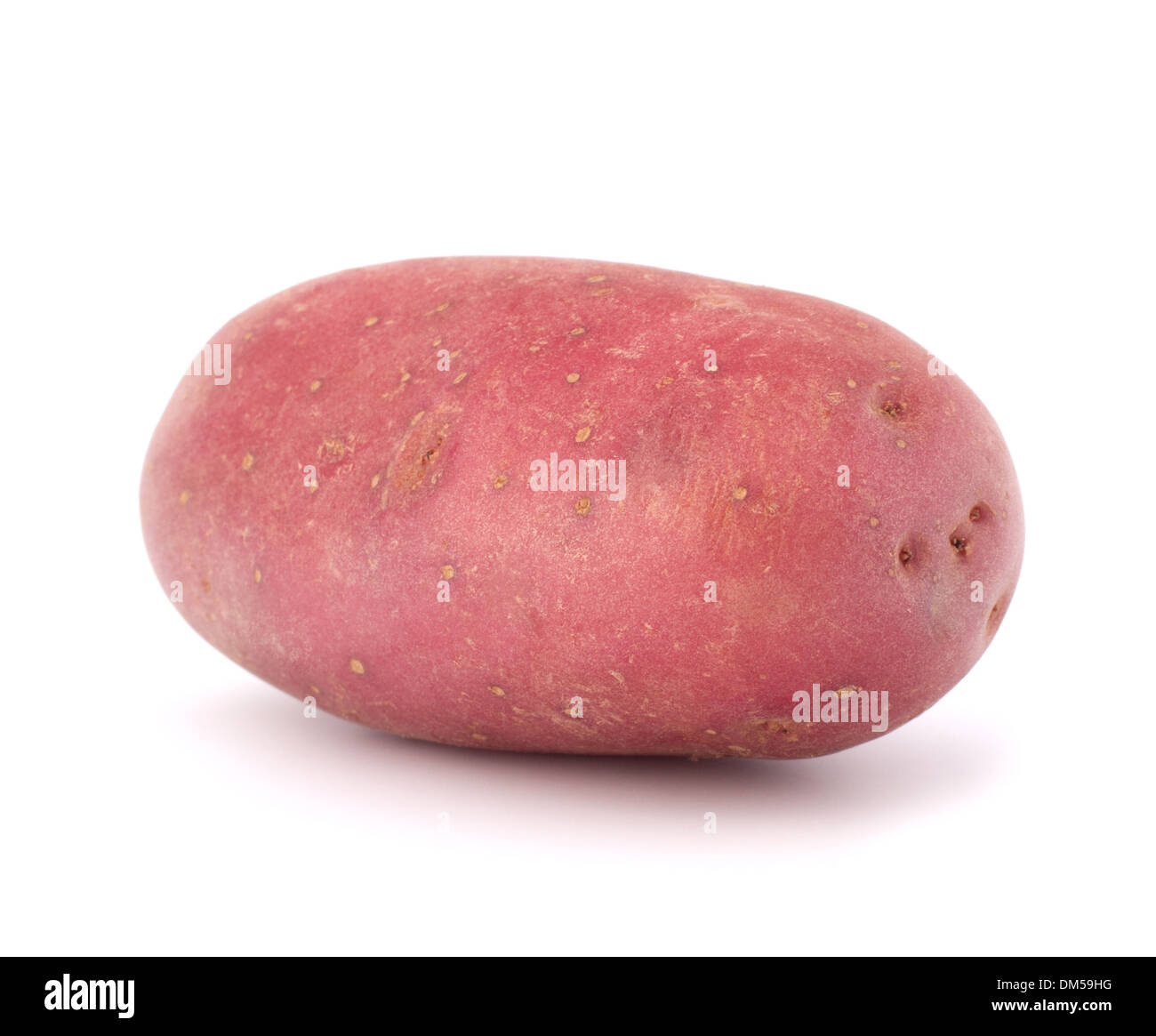 New potato tuber isolated on white background cutout Stock Photo - Alamy