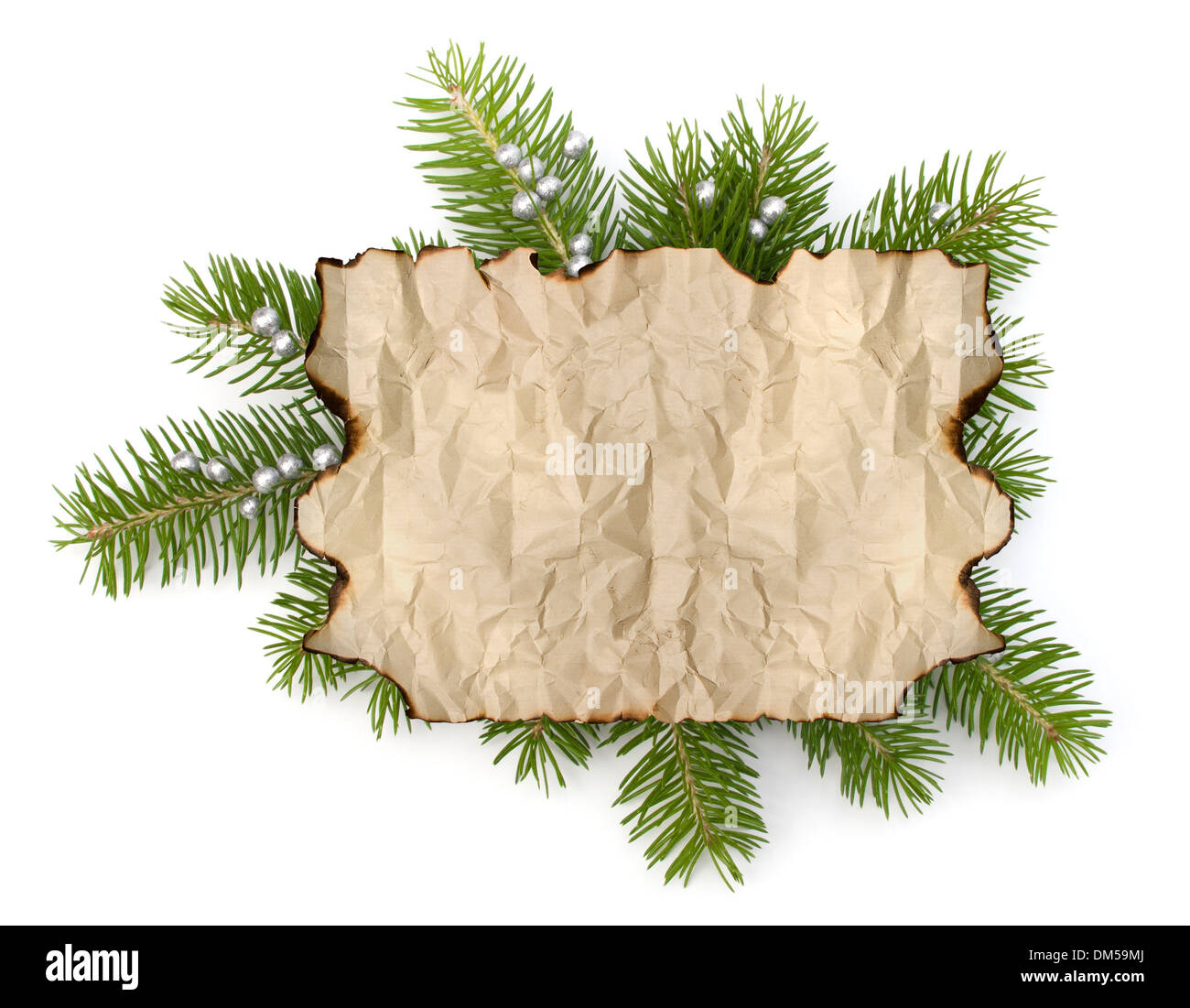 Old parchment paper with copy space on Christmas tree branch background ...