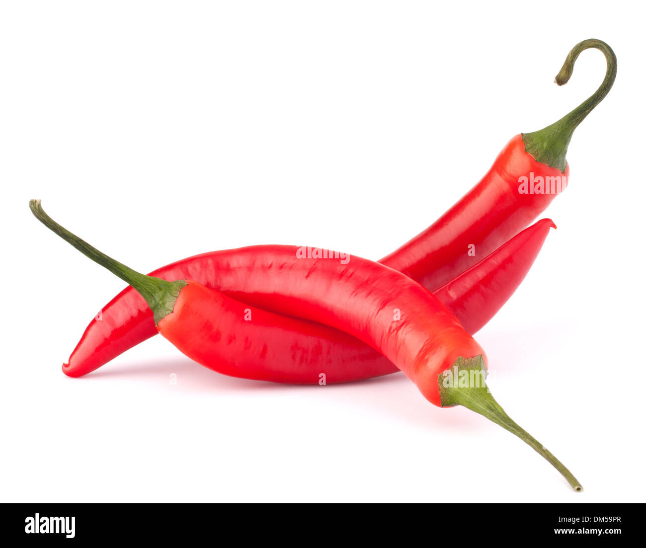 Hot red chili or chilli pepper still life isolated on white background ...