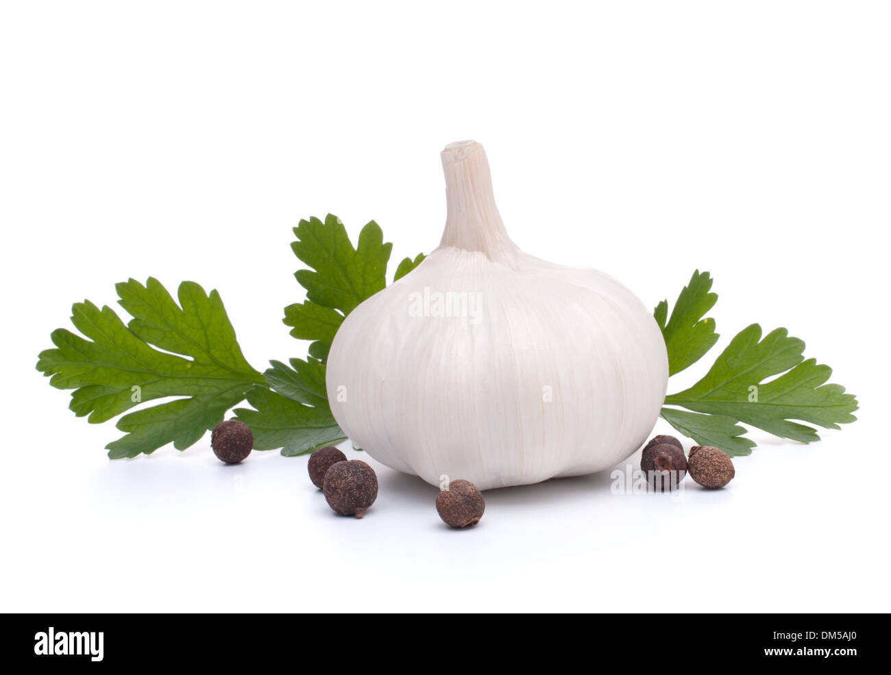 garlic bulb isolated on white background cutout Stock Photo - Alamy