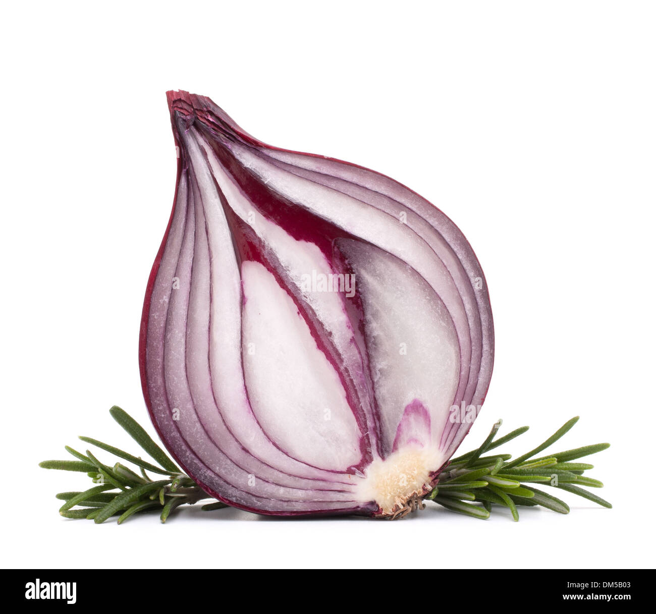 red onion and rosemary leaves still life isolated on white background ...