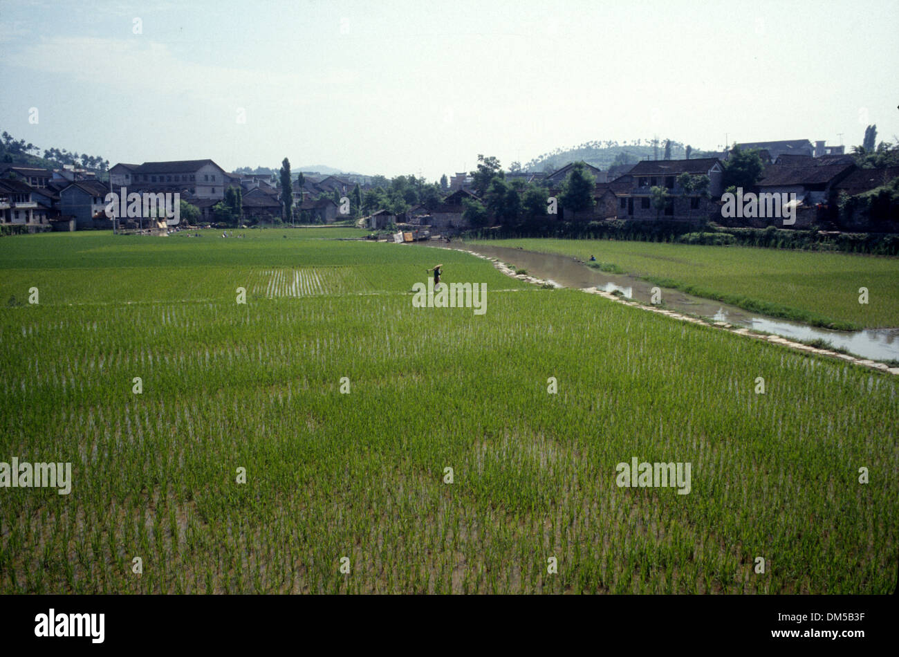 Farmland taken in Hunan Province, China Stock Photo - Alamy
