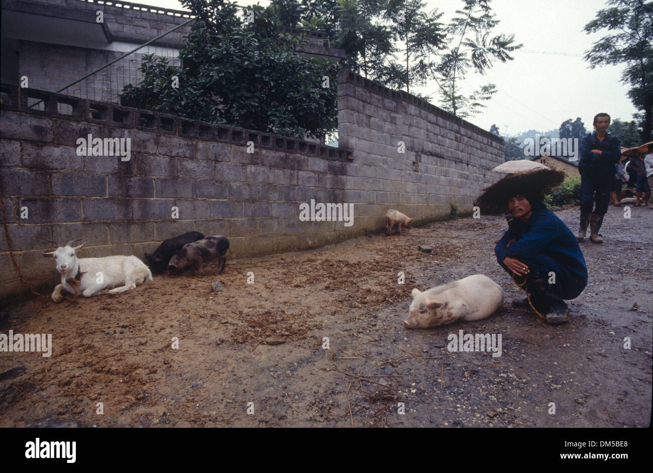A farmer selling animal in a market in Hunan Province, China Stock ...