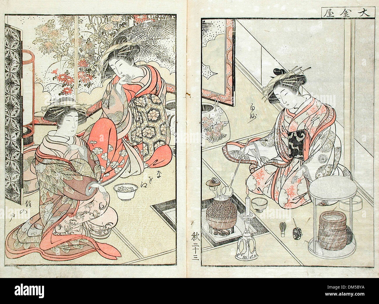 This artwork, 'A Mirror of Competing Beauties of the Green Houses ...