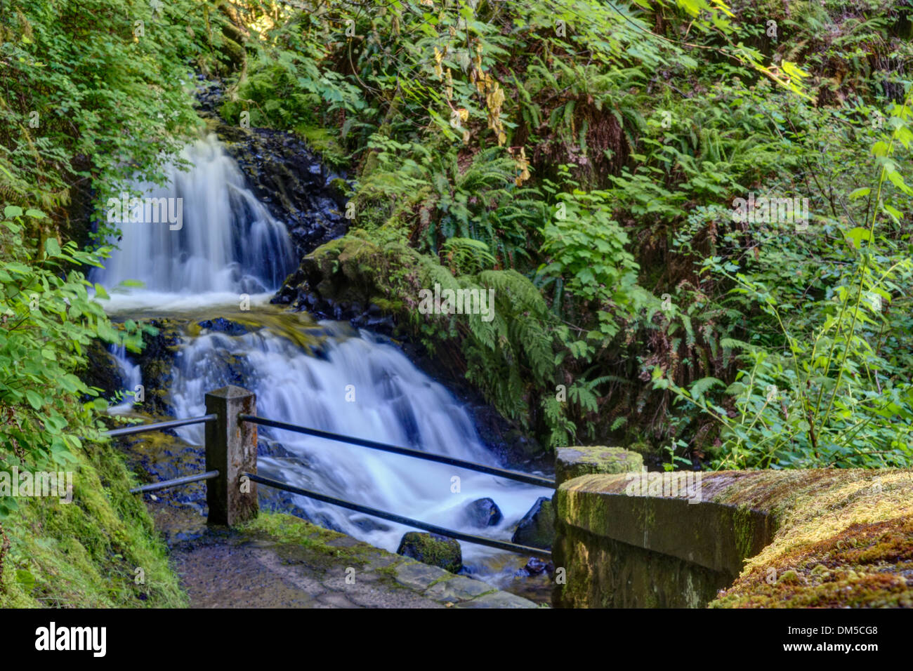 Sheppard's Dell Falls Columbia Gorge Oregon Stock Photo - Alamy