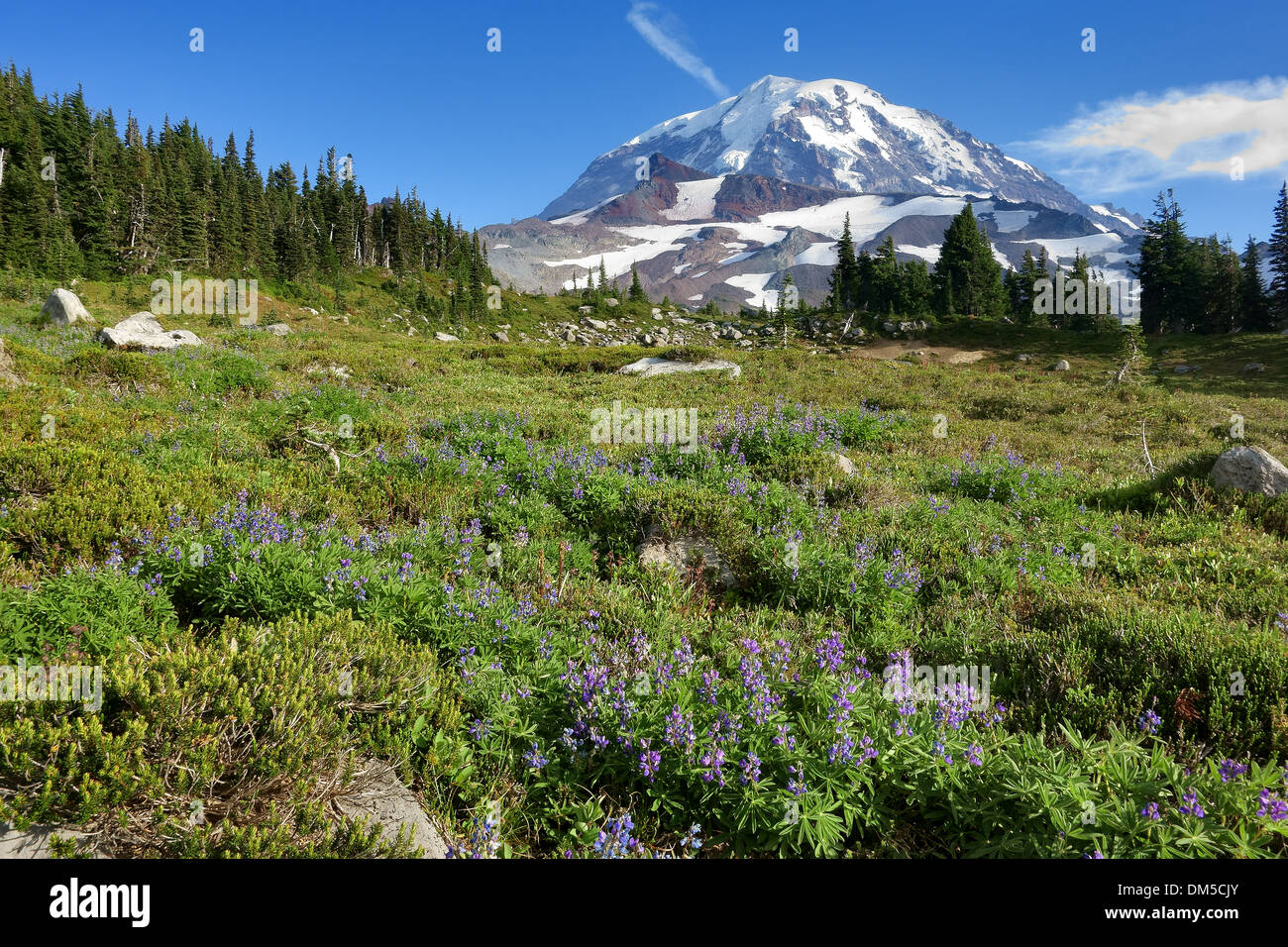 Mt rainier spray park hi-res stock photography and images - Alamy