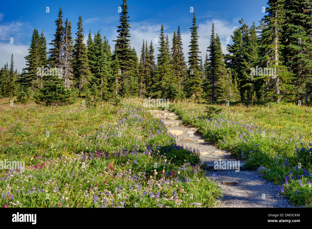 Spray park trail hi-res stock photography and images - Alamy
