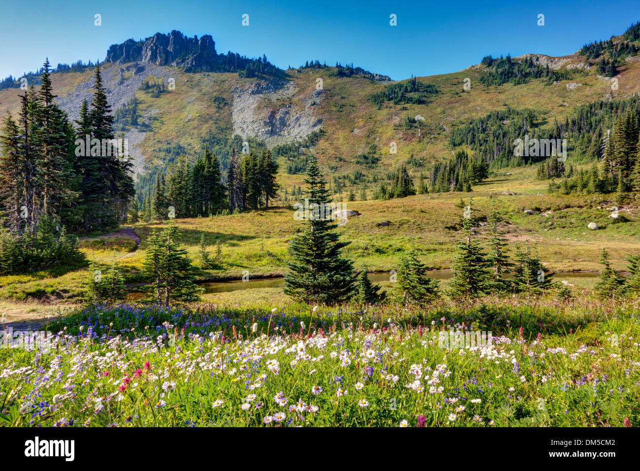 Spray park rainier hi-res stock photography and images - Alamy