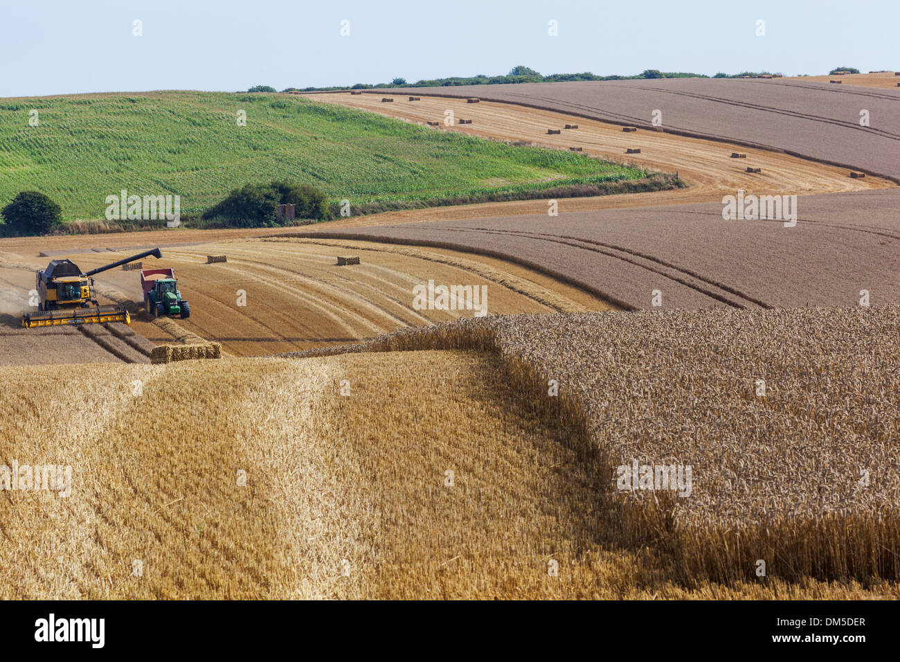 UK United Kingdom Europe Great Britain Britain England Kent Farming ...