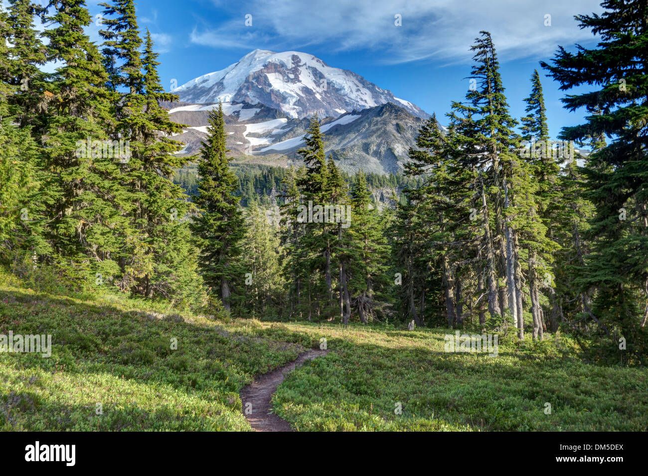 Spray Park, Mt Rainier, Washington Stock Photo - Alamy