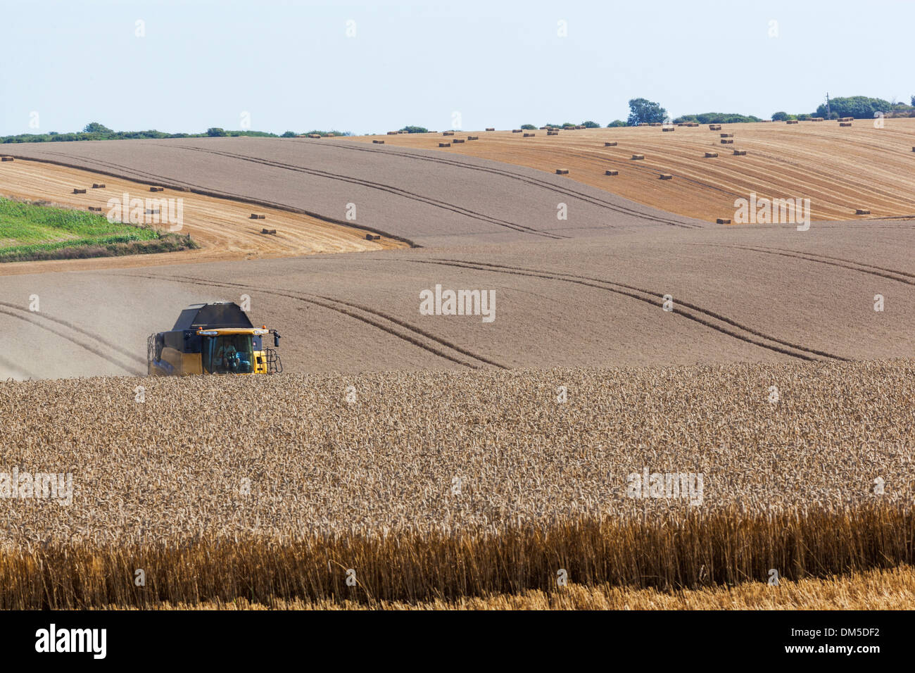 UK United Kingdom Europe Great Britain Britain England Kent Farming ...