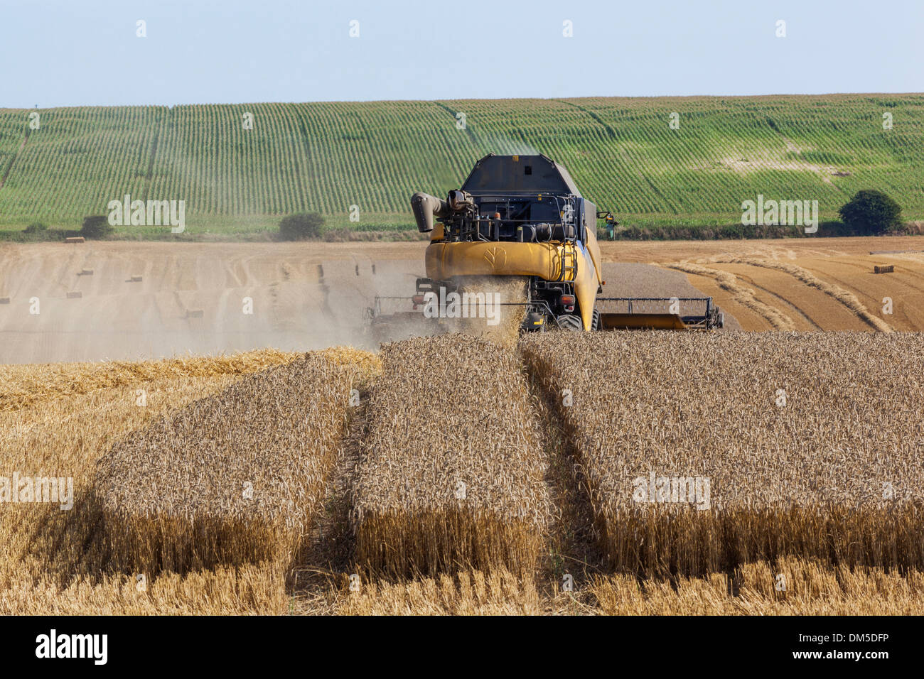 UK United Kingdom Europe Great Britain Britain England Kent Farming ...
