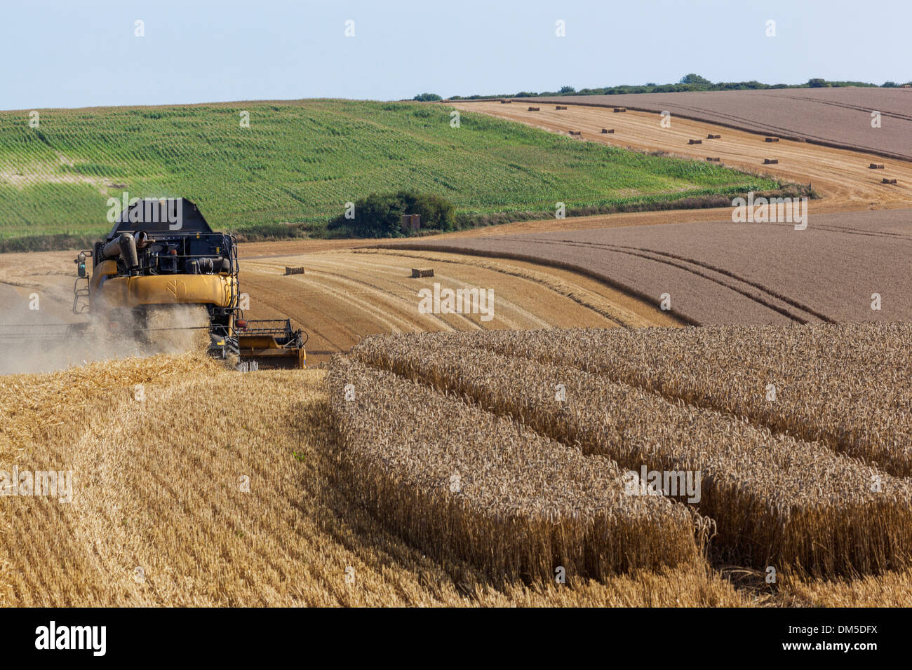 UK United Kingdom Europe Great Britain Britain England Kent Farming ...