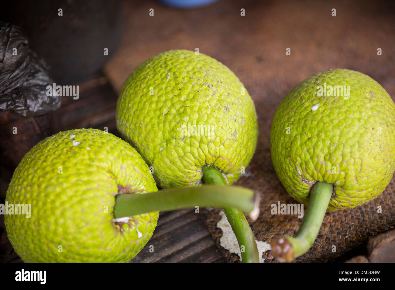 African breadfruit hi-res stock photography and images - Alamy