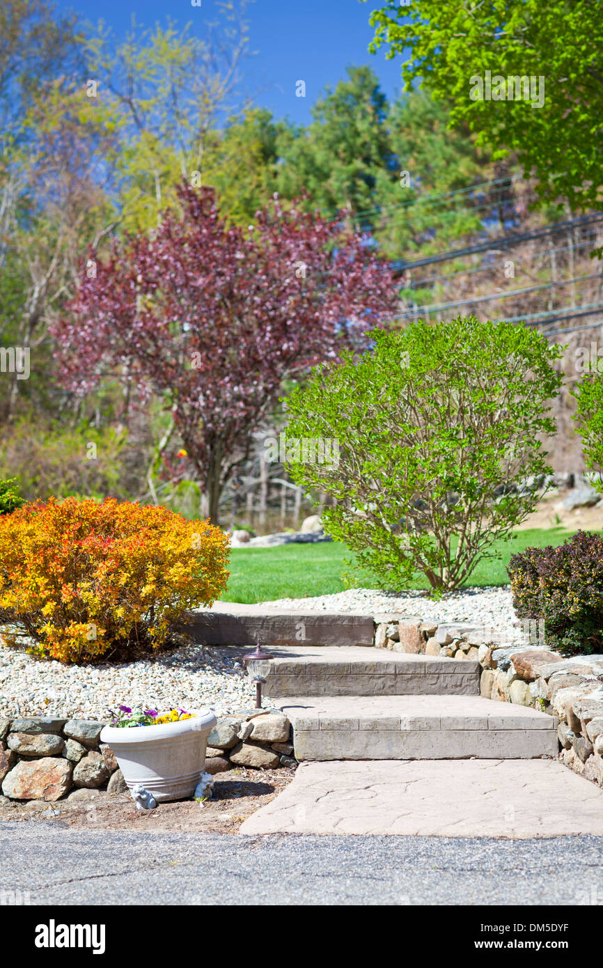 Pretty ornamental garden in bright sunshine Stock Photo - Alamy