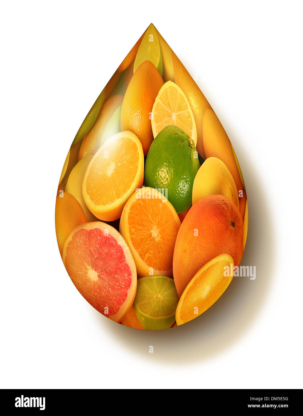 Citrus fruit symbol with a group of fresh oranges lemons lime pomelo ...